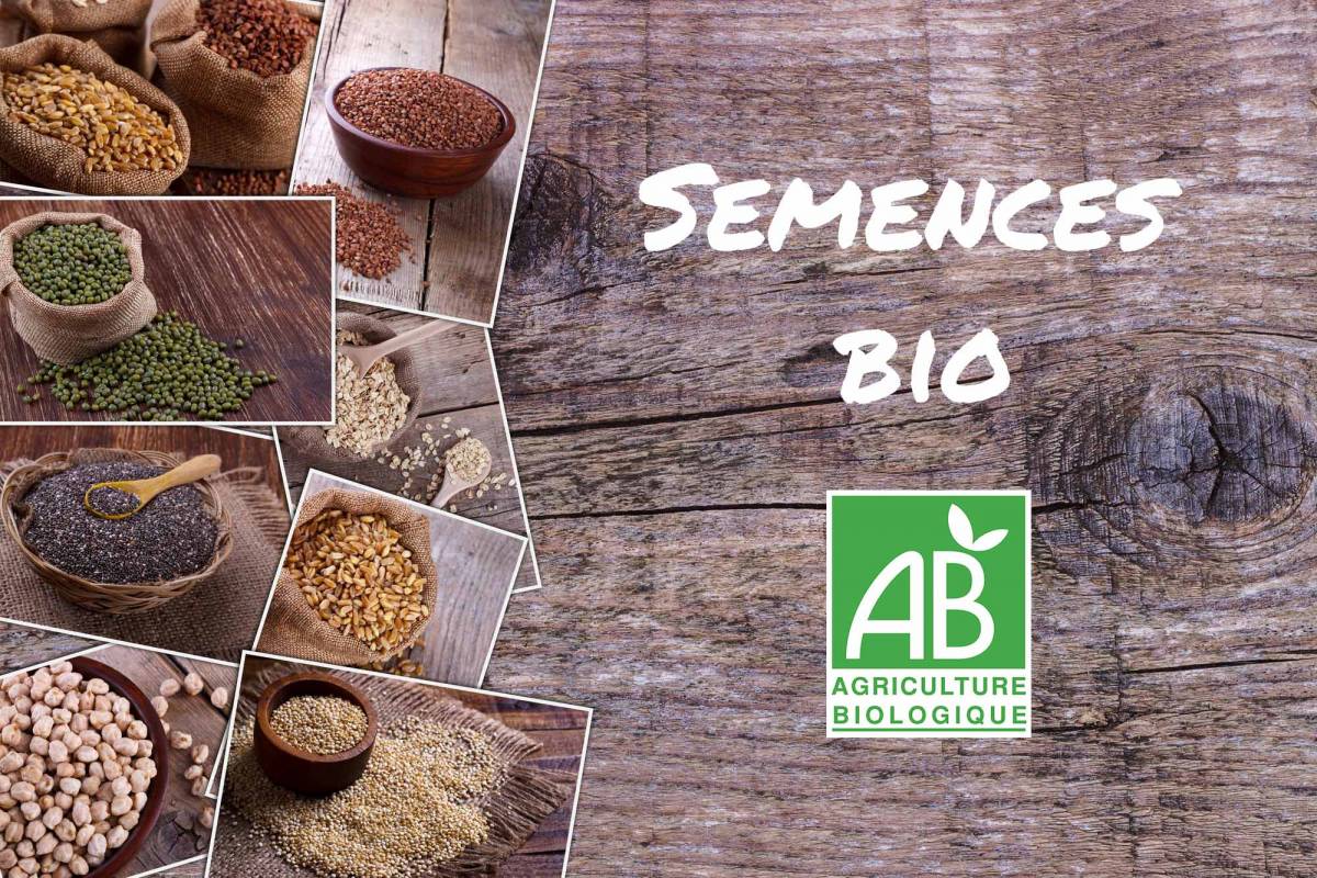 Acheter des graines bio - semences bio paysannes non-hybrides - L'Abri ...